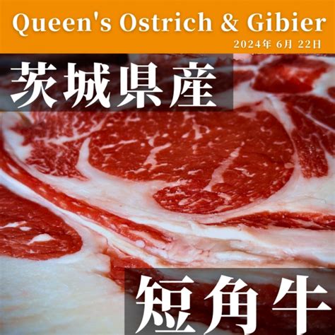 株式会社noblesse Oblige