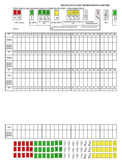 Chart For Computer Use Pdf Sexual Anatomy Obstetrics