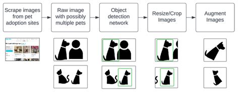 Data Collection Process The Top Nodes Represent The Individual Steps