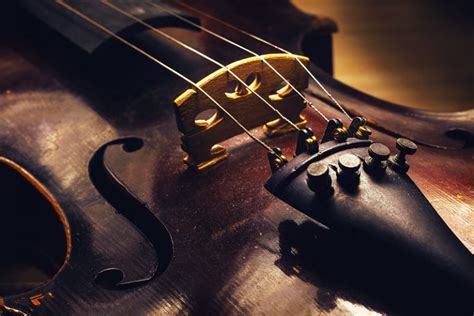 Defining Factors That Will Help You Choose The Best Violin Strings