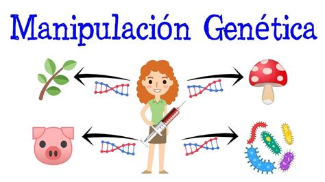 💉¿qué Es La Manipulación Genética👨 [fácil Y Rápido] BiologÍa Youtube
