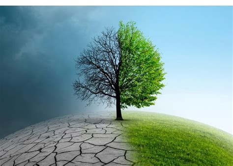 Las Claves Para Frenar El Cambio Climático