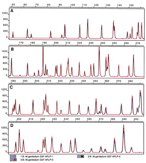 amplified fragment length polymorphism fingerprinting of mycoplasma