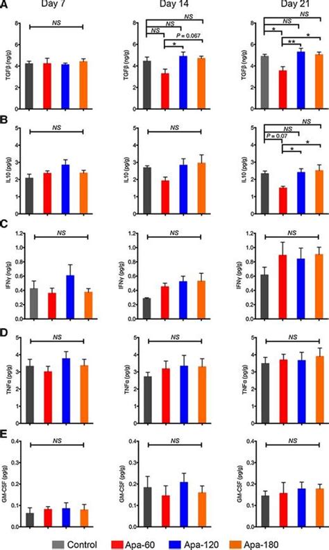 Low Dose Apatinib Optimizes Tumor Microenvironment And Potentiates