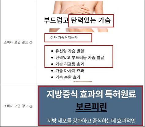 ‘지방분해·체지방 감소 등 의약품 표방 광고 155건 적발