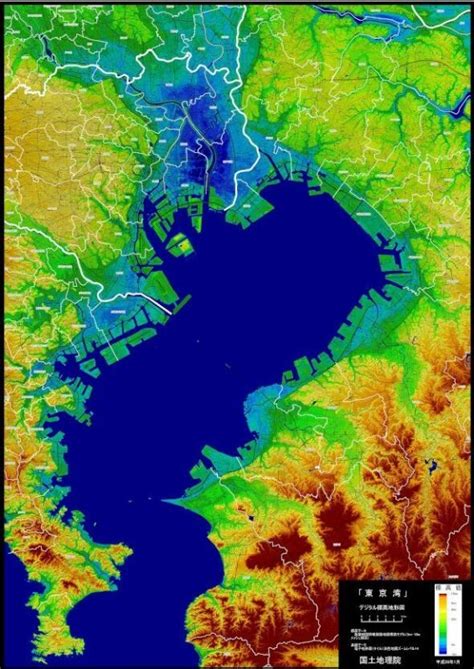デジタル標高地形図「東京湾」 D1 865 デジタル標高地形図（受注生産版） 関東 地図センターネットショッピング
