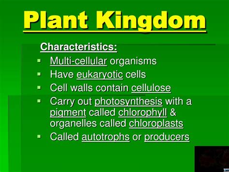 Plant Kingdom Characteristics