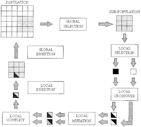 typical implementation of a fine grain model download scientific diagram