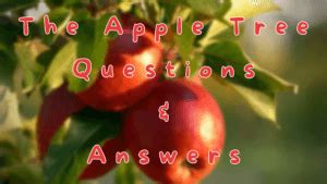The Apple Tree Questions Answers WittyChimp