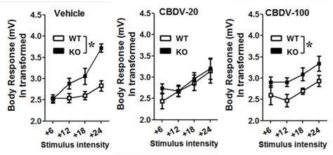 Acoustic Startle The Body Startle Response To Acoustic Stimuli Of 6