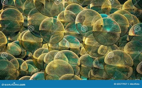 Cayan Cartoons Illustrations And Vector Stock Images 61 Pictures To Download From