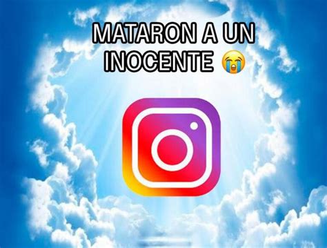 Se Cayó Instagram A Nivel Mundial Las Reacciones De Los Usuarios Eldoce