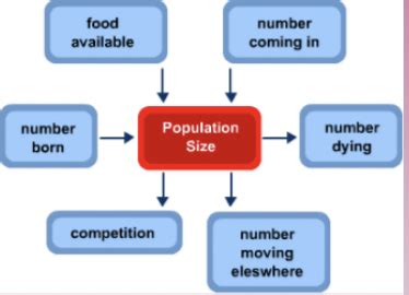 Unit 3 Populations Flashcards Quizlet