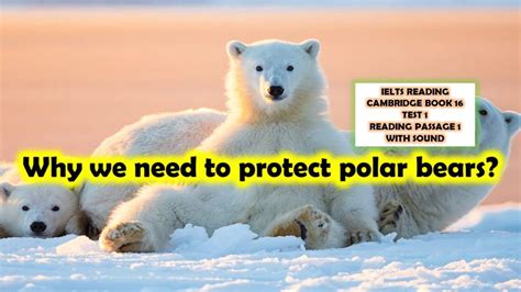 CAMBRIDGE BOOK 17 TEST 1 READING PASSAGE 1 Why We Need To Protect