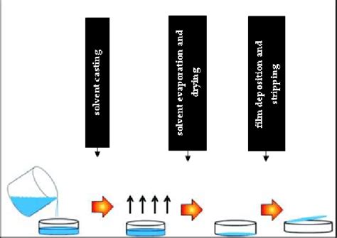 Solvent Casting Technique Download Scientific Diagram