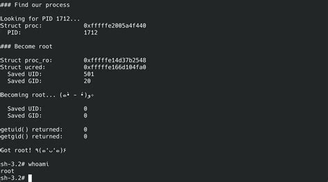 Lina And Cyan I Hacked Macos Cve 2022 32947