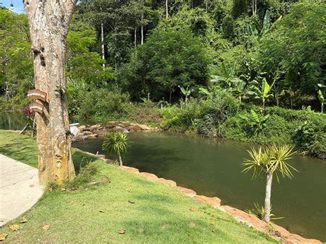 บ้านพร้อมสุข Baan Promsuk ที่พักชะอมติดริมน้ำ Kaeng Khoi