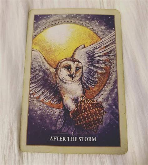 Épinglé Par Vivian Jimenez Sur Mayo