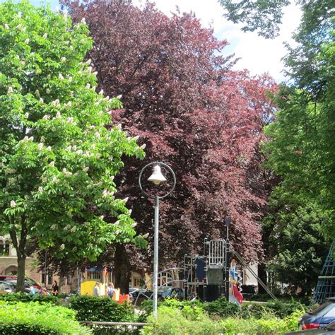 Oleofactum Offenburg All You Need To Know Before You Go