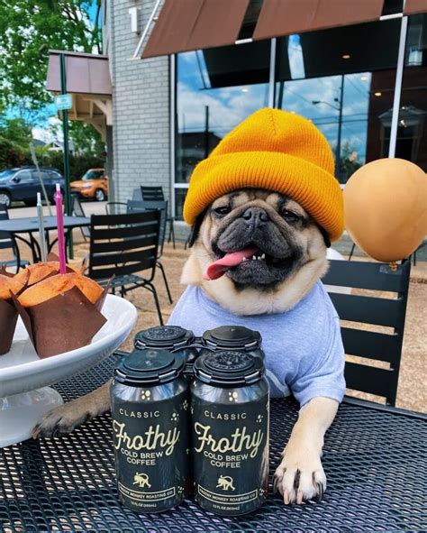 Doug The Pug Logo At Stanley Musso Blog