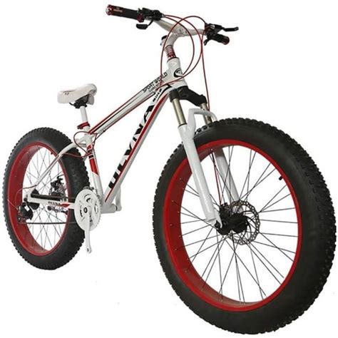 Roue Fat Bike