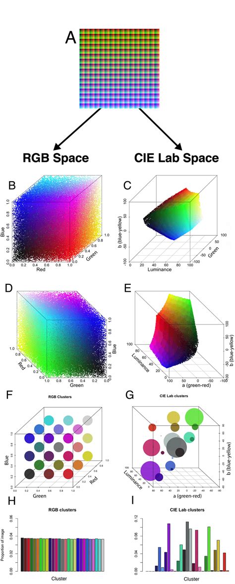 Rgb Colors As Displayed In Rgb And Cie Lab Color Spaces My XXX Hot Girl