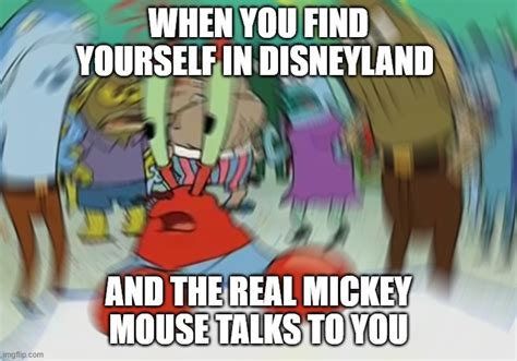 At Disneyland Imgflip