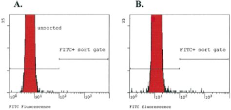 Recovery Of Labeled Beads By FACS Histogram Showing Actual Sort Download Scientific Diagram