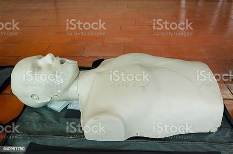 응급 훈련 모델은 심폐소생술을 훈련하기위한 장비입니다 1에 대한 스톡 사진 및 기타 이미지 1 Cpr 마네킹 강사