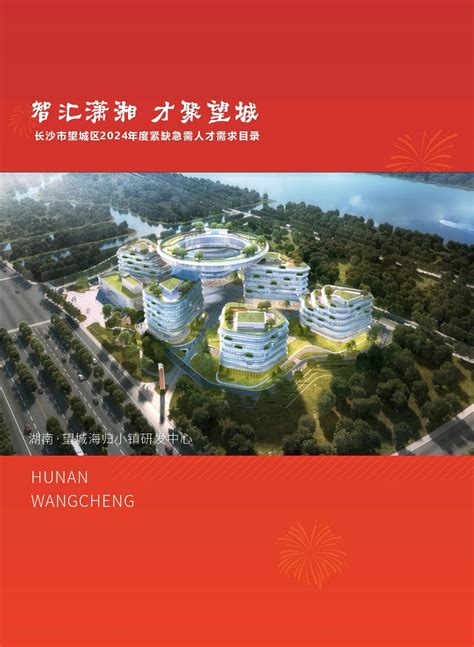 第1招考计划引进626人！望城区发布2024年紧缺急需人才引进目录第1招考