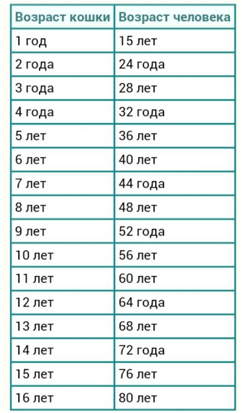 До какого возраста котенок считается котенком