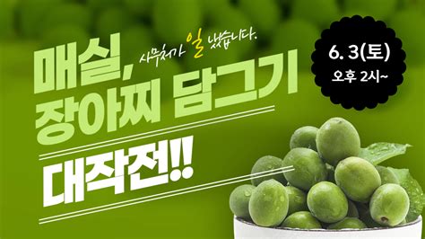 매실장아찌 담그기 대작전 익산참여연대 단체소식