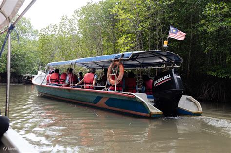 Jelajahi Keagungan Alam Tur Royal Mangrove Di Langkawi Klook Indonesia