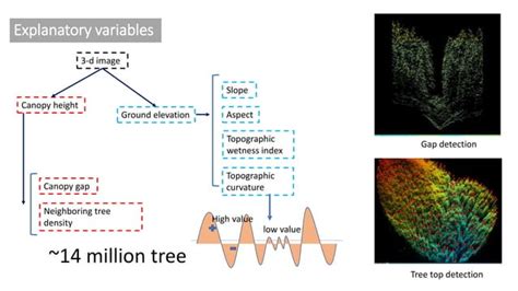 Application Of Airborne Lidar In Detecting Forest Structure Pptx Geography Science