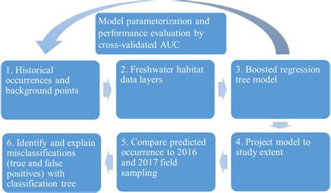 Conceptual Figure Representing Our Process This Process Includes Download Scientific Diagram