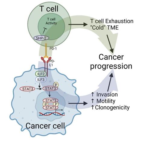 Research Offers Insight Into Improving Effica Eurekalert