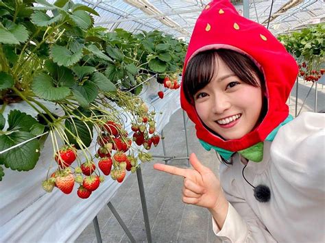 南雲穂波さんのインスタグラム写真 南雲穂波Instagram いちご狩り を大満喫 3種類の 苺 を思う存分食べ比べできます