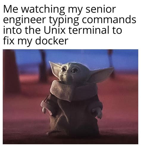 566 Best Docker Images On Pholder Programmer Humor Afl And Selfhosted