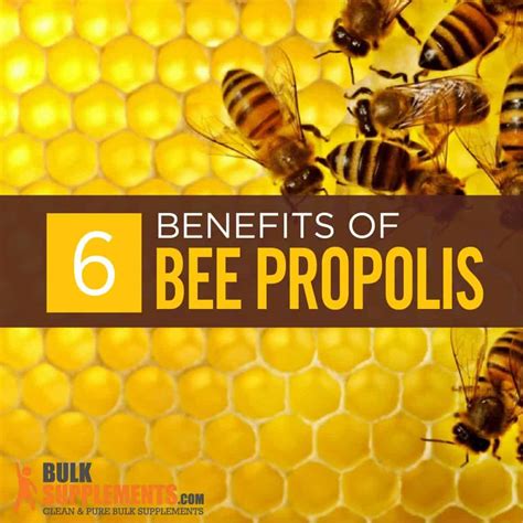 Bee Propolis Benefits Side Effects And Dosage