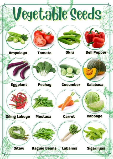 High Quality Vegetable Seeds Pechay Tomato Talong Sitaw Ampalaya