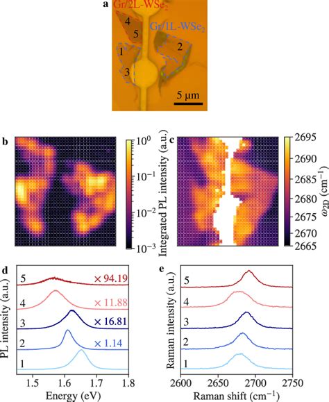 Figure 1 From Symmetry Dependent Dielectric Screening Of Optical