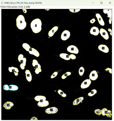 Automating Imagej Color Thresholder User Input Using A Macrojava
