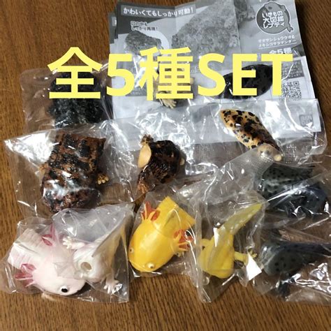 いきもの大図鑑レプティ オオサンショウウオとメキシコサラマンダー 全5種set メルカリ