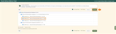 Microsoft Sql Server Database For Primavera P6 8 Steps