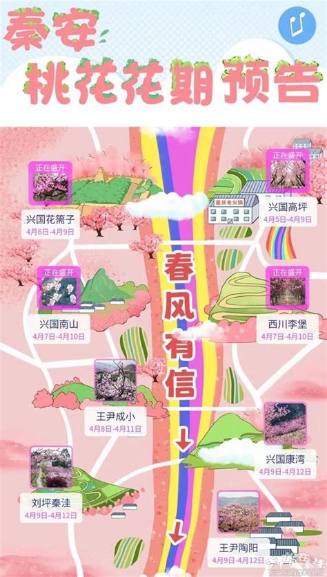 “天水秦安桃花花期预报”小程序全网推出图 天水在线