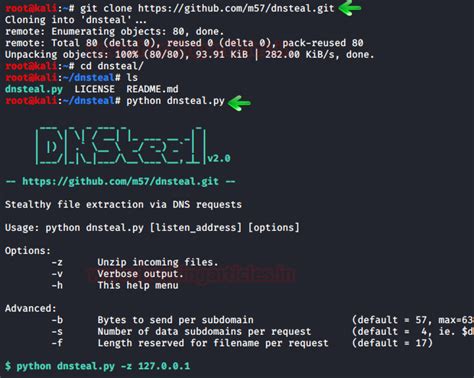 Data Exfiltration Using Dnssteal