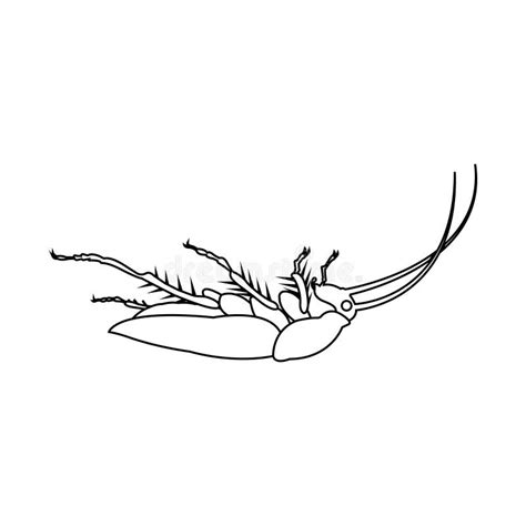 Icono De La Cucaracha Ilustración Del Vector Ilustración De Insignia