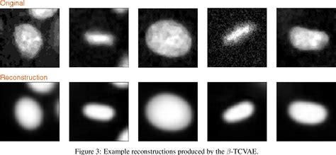 Figure 3 From Discovering Interpretable Models Of Scientific Image Data