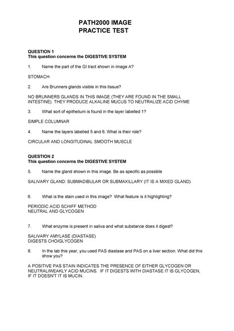 Histopathology Test