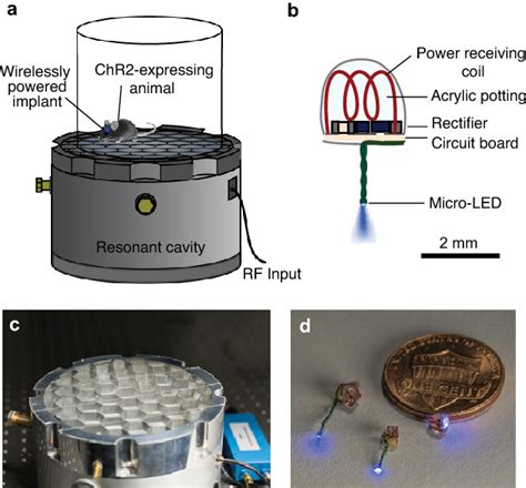 figure 1 from fully internal wirelessly powered systems for
